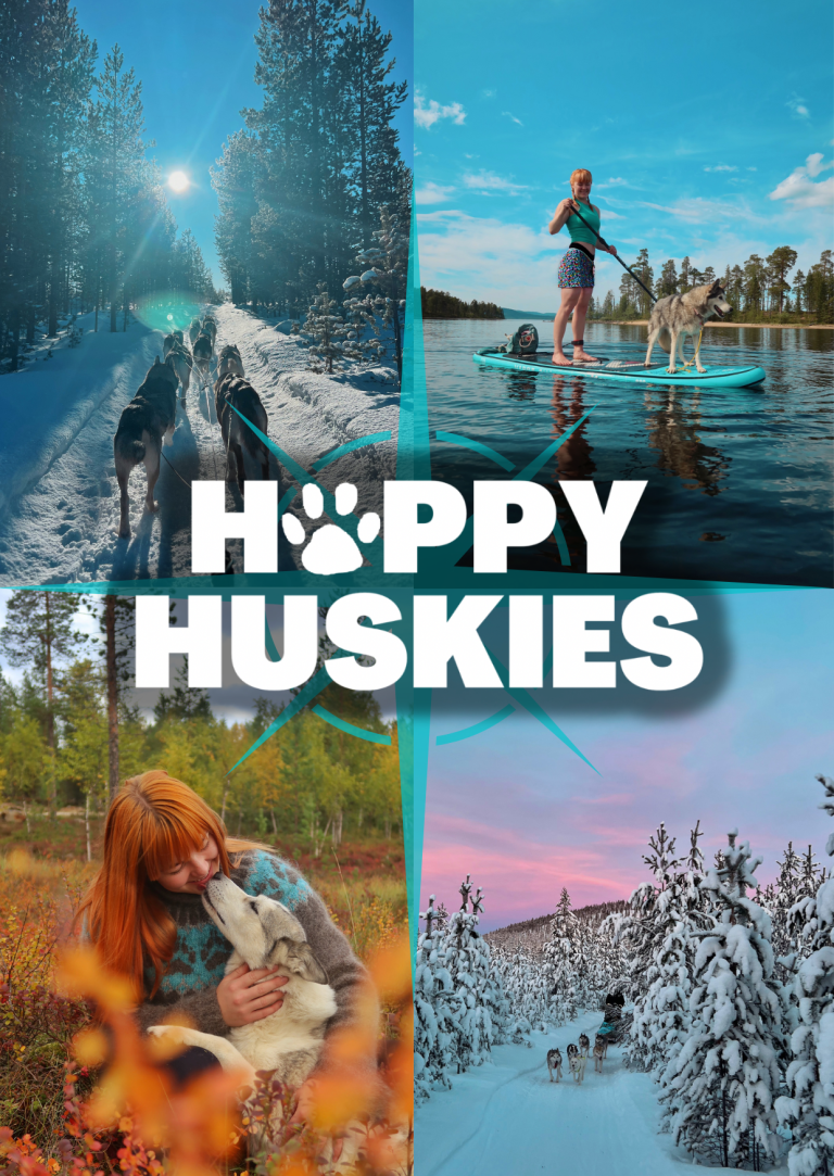 Postcards – Happy Huskies