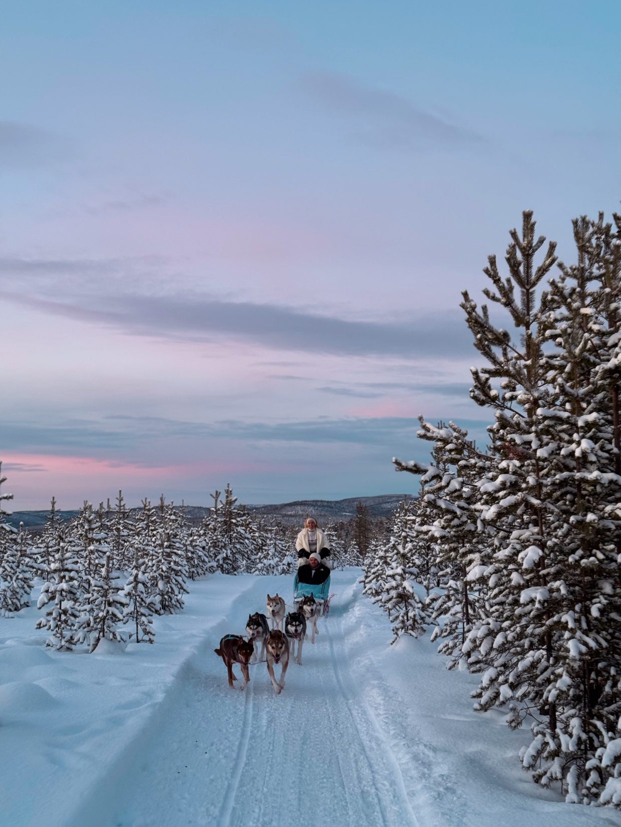 Husky Safari – Happy Huskies