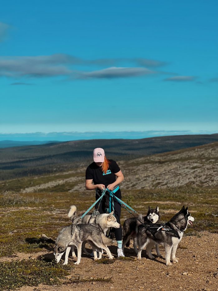 Husky Walk – Happy Huskies